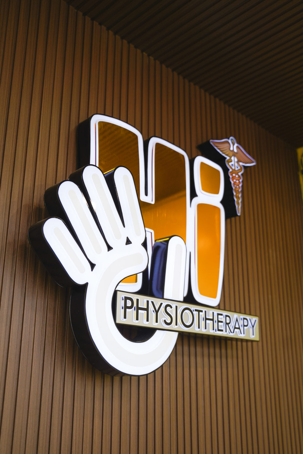 Hi Physio PH